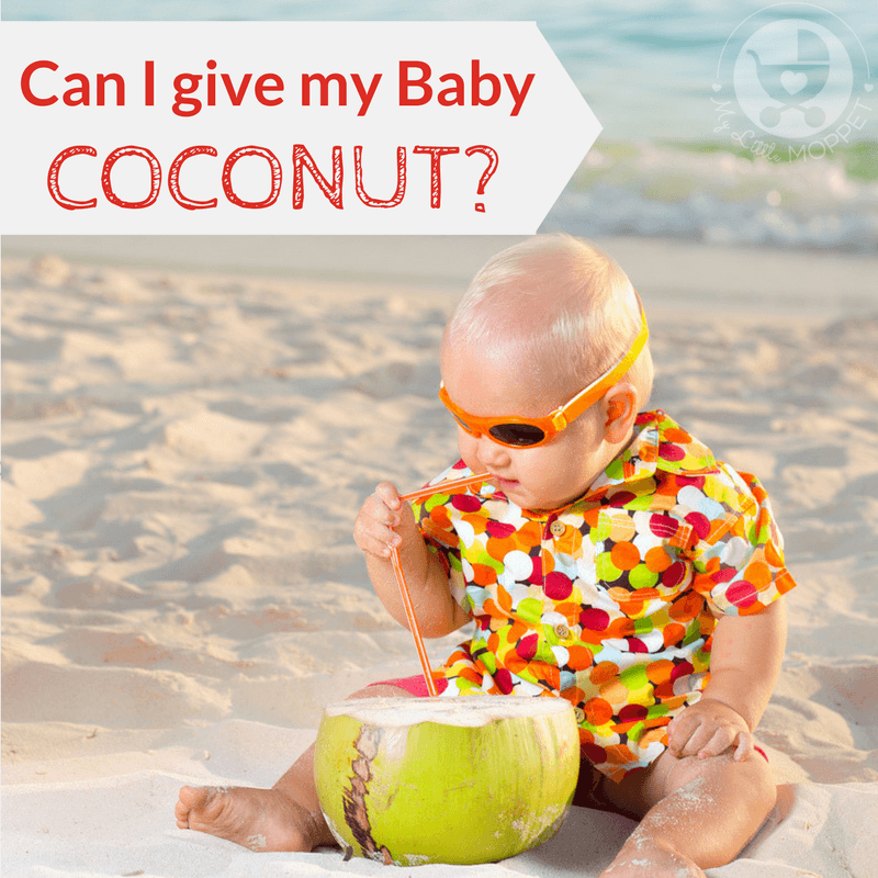 Can I give my Baby Coconut?