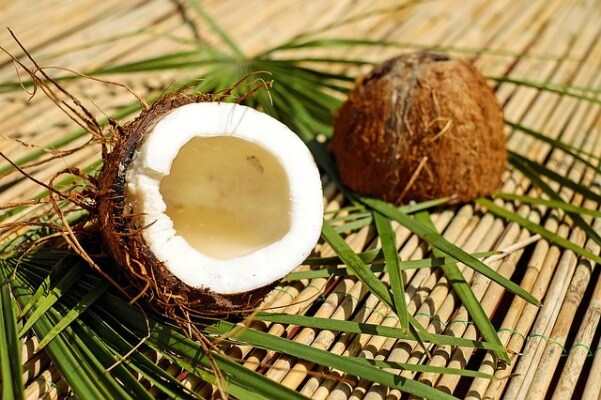 Can I give my Baby Coconut?